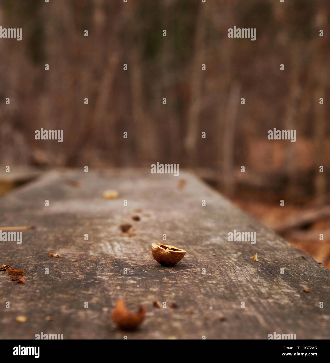 Nut color hi-res stock photography and images - Alamy