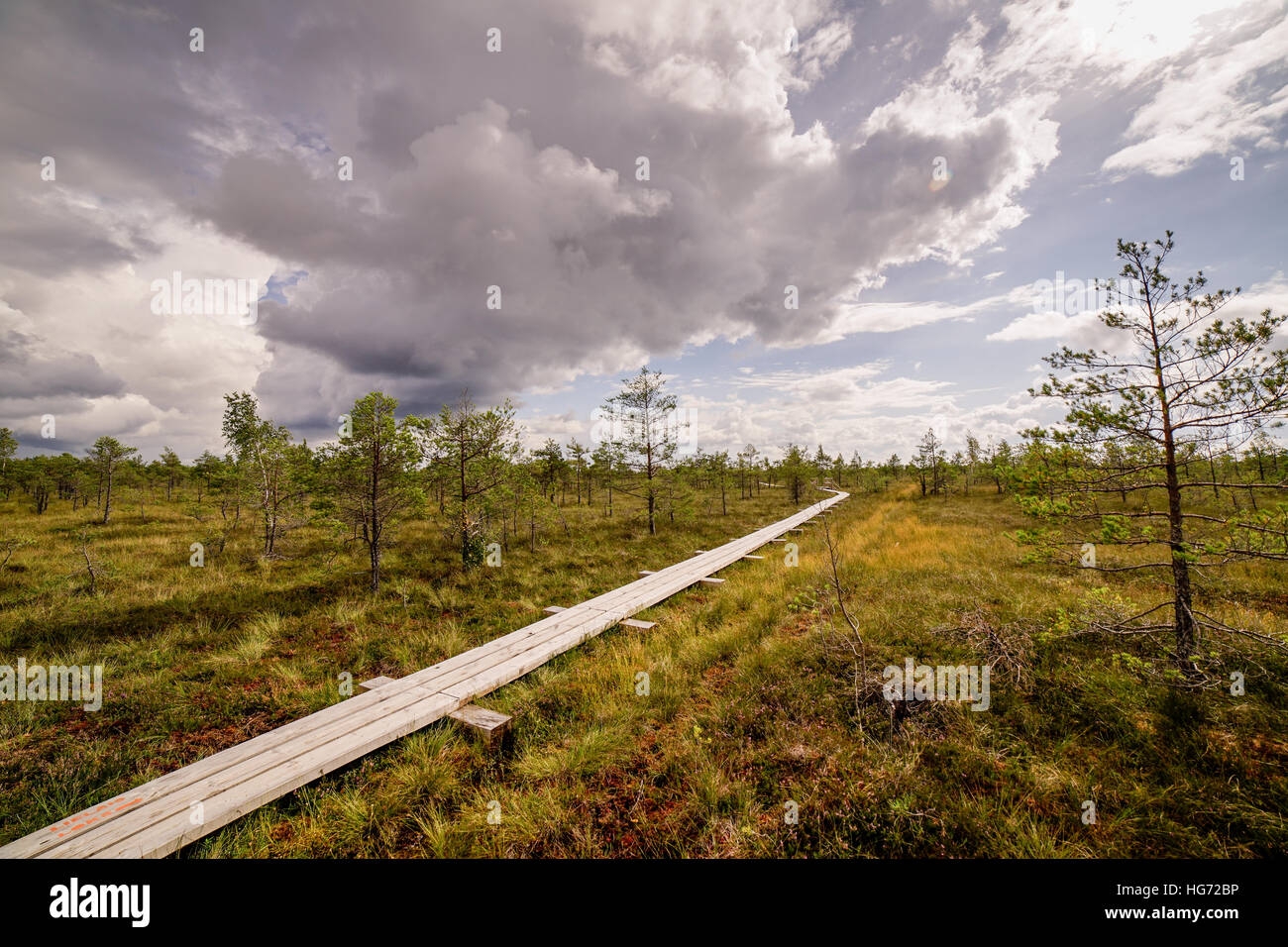 swamp view with lakes and footpath Stock Photo - Alamy