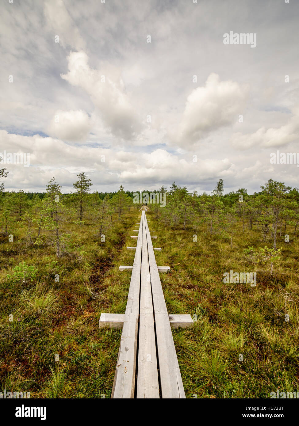 swamp view with lakes and footpath Stock Photo - Alamy