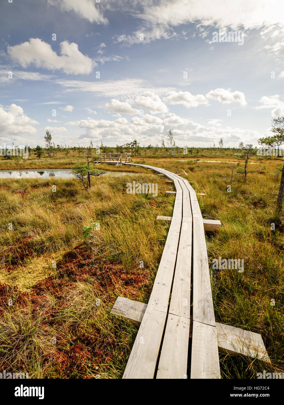 swamp view with lakes and footpath Stock Photo - Alamy
