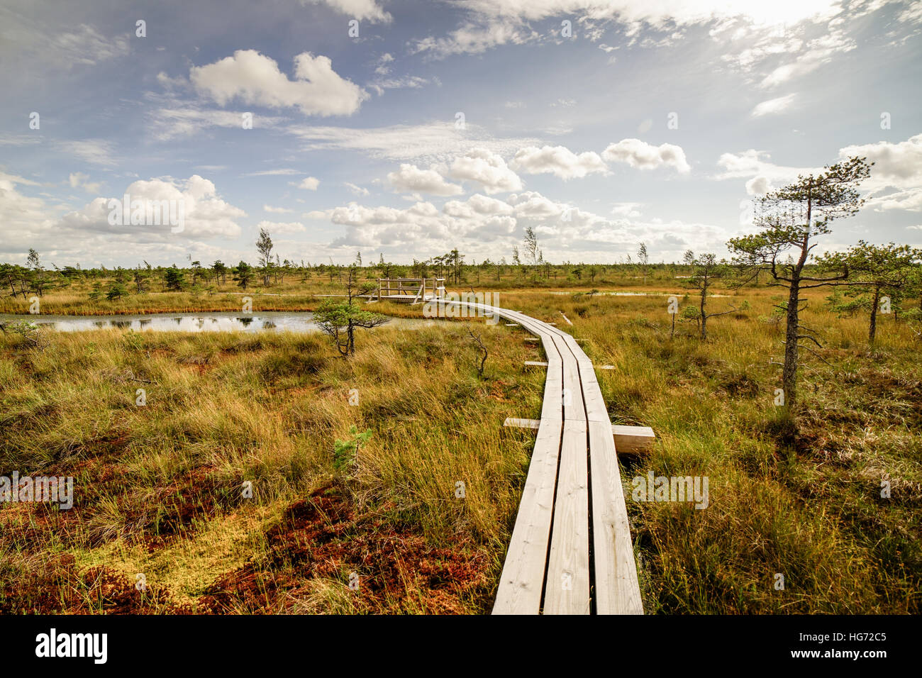 swamp view with lakes and footpath Stock Photo - Alamy