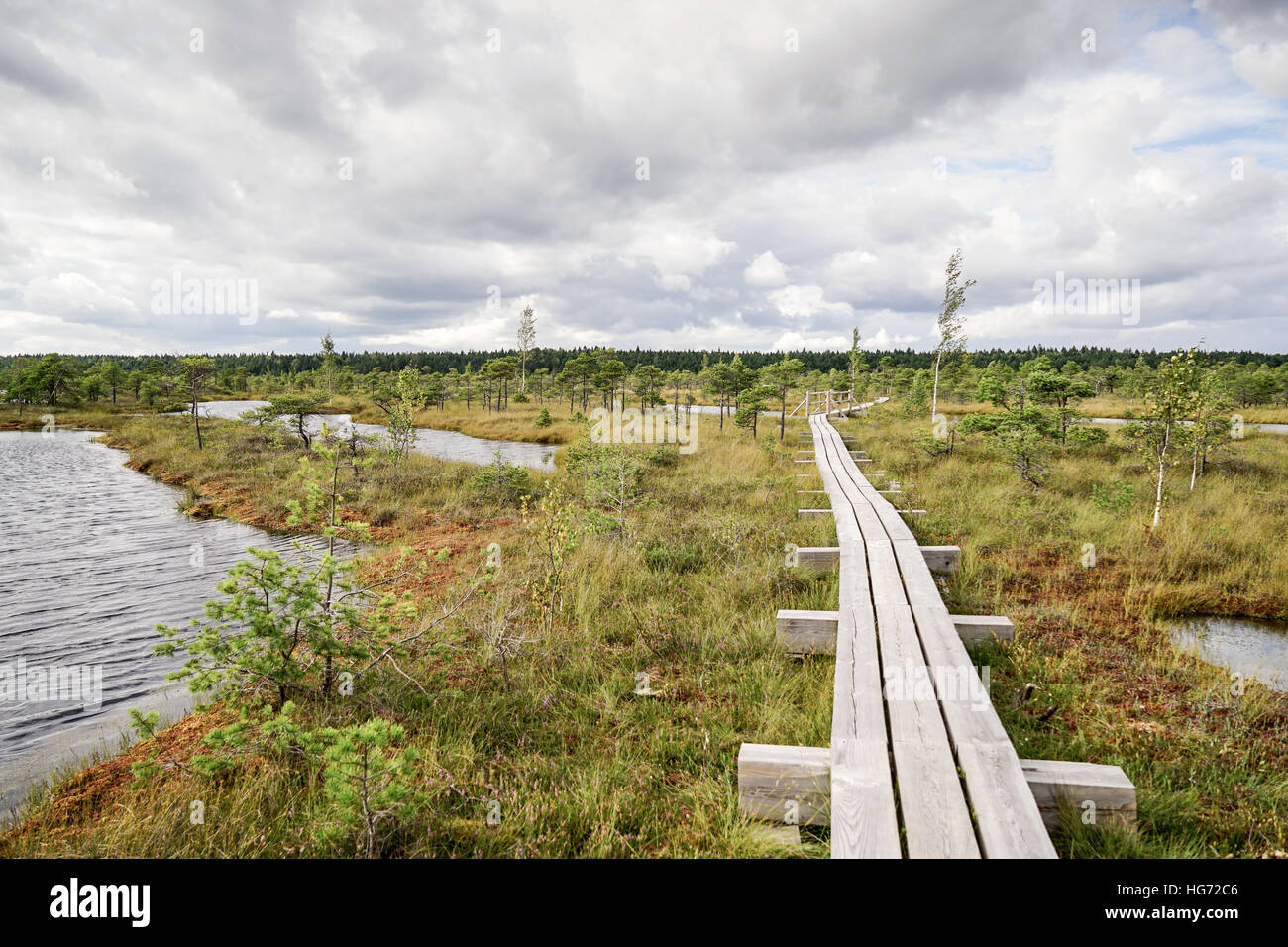 swamp view with lakes and footpath Stock Photo - Alamy