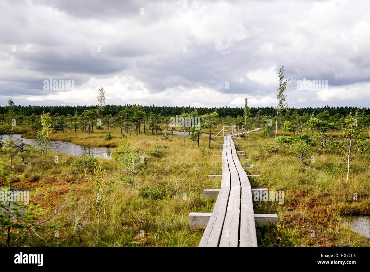 swamp view with lakes and footpath Stock Photo - Alamy