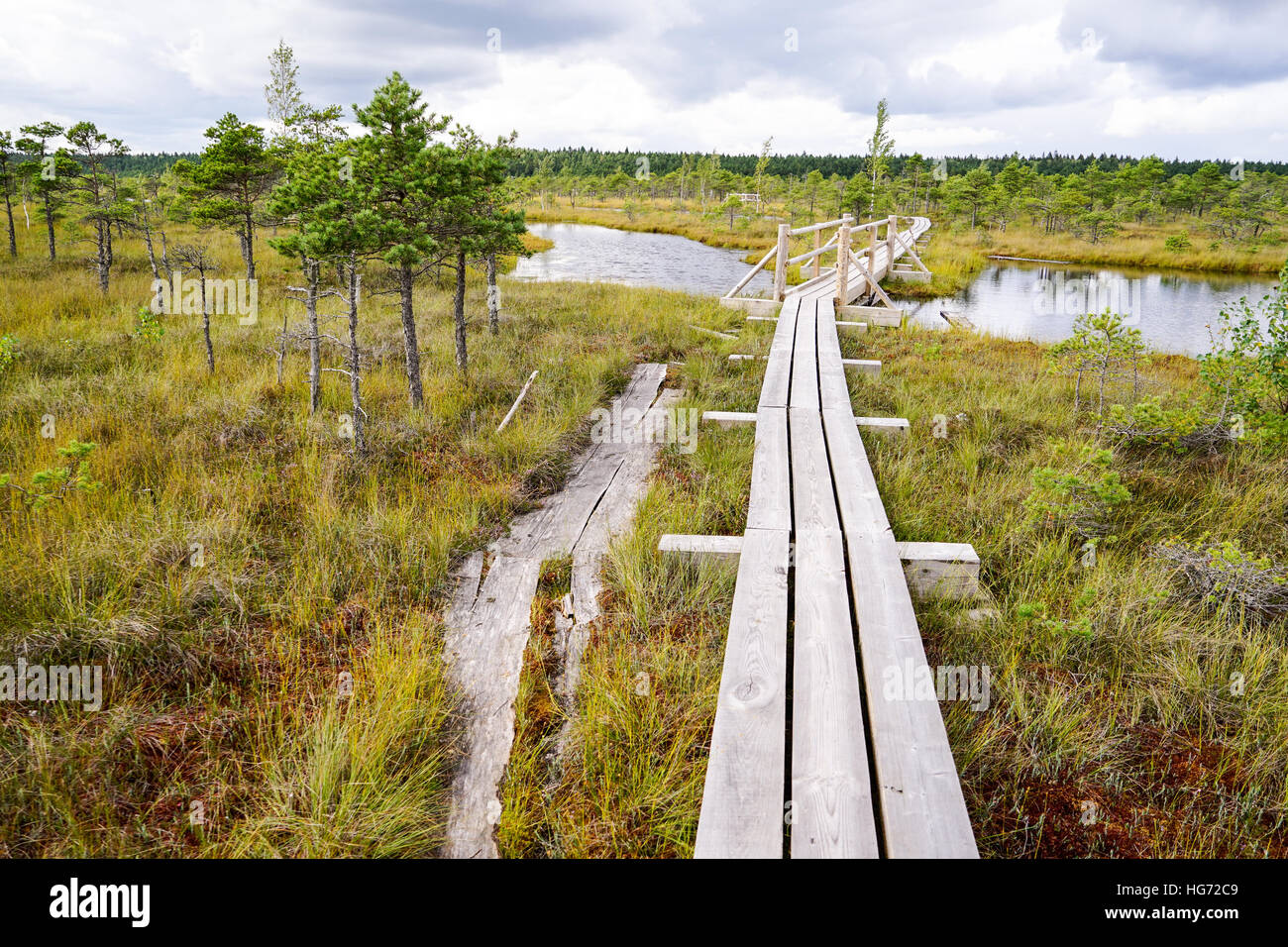 swamp view with lakes and footpath Stock Photo - Alamy