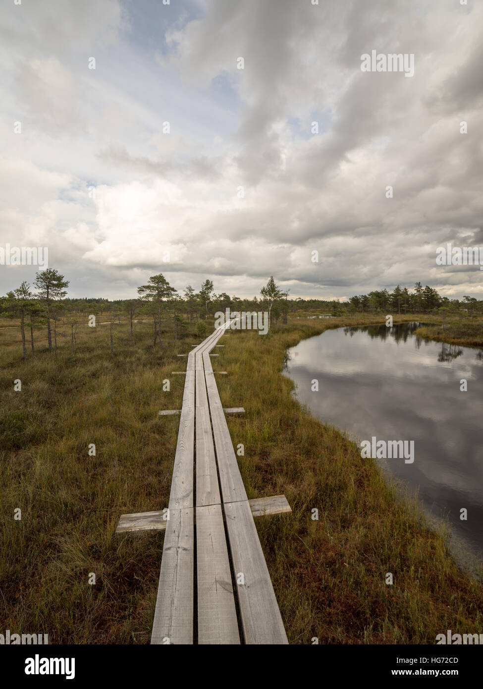 swamp view with lakes and footpath Stock Photo - Alamy