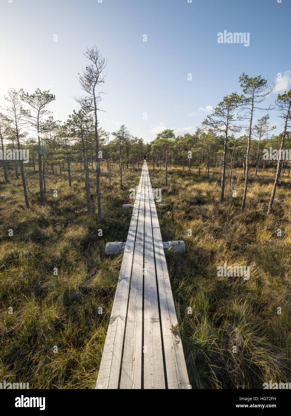 wooden footbridge in the bog in the countryside Stock Photo - Alamy