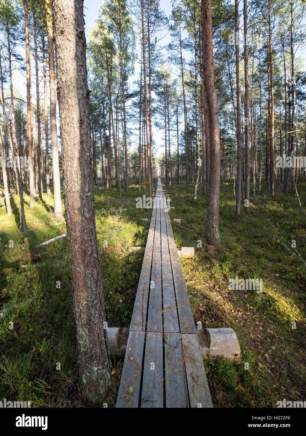 wooden footbridge in the bog in the countryside Stock Photo - Alamy