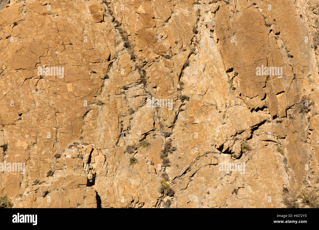 Stone texture closeup background Stock Photo - Alamy