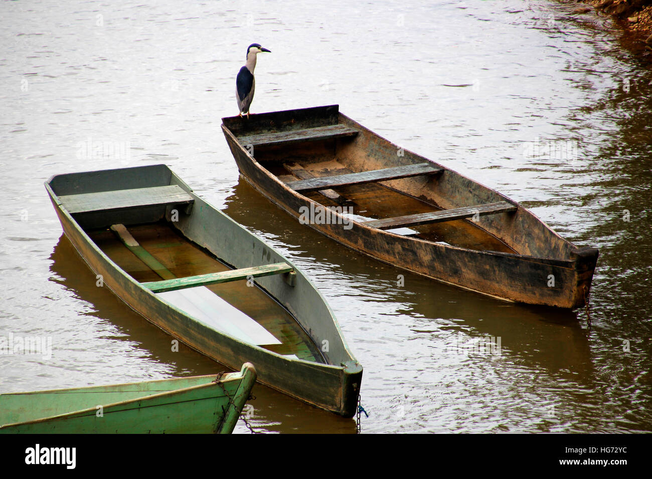Old boats parked inside the river Stock Photo - Alamy