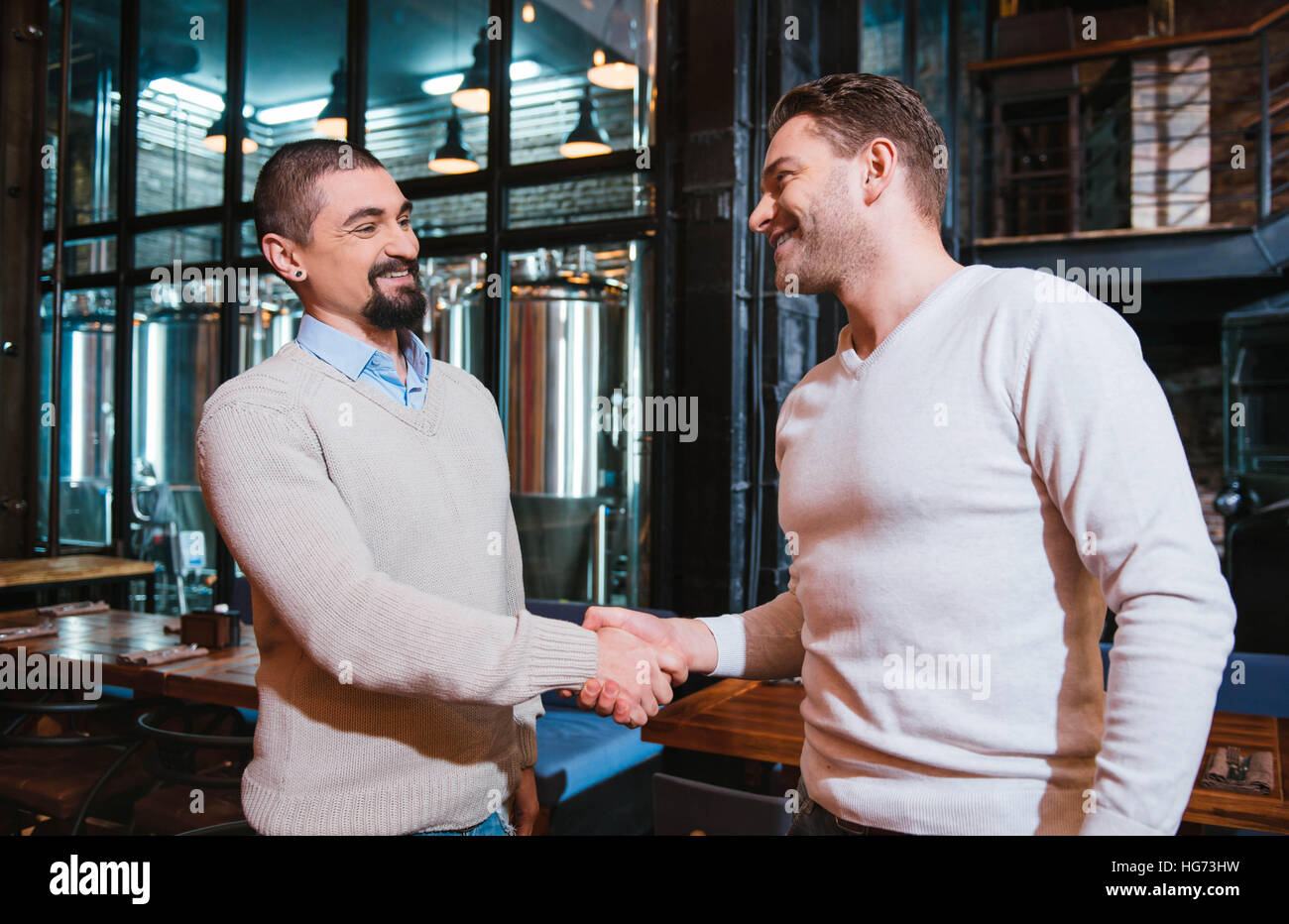 Delighted nice men shaking hands Stock Photo - Alamy