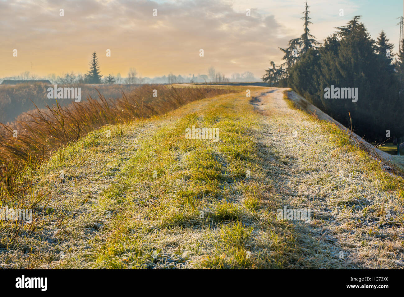 sunny day on icy pathway along frozen fields in cold winter in Italy ...