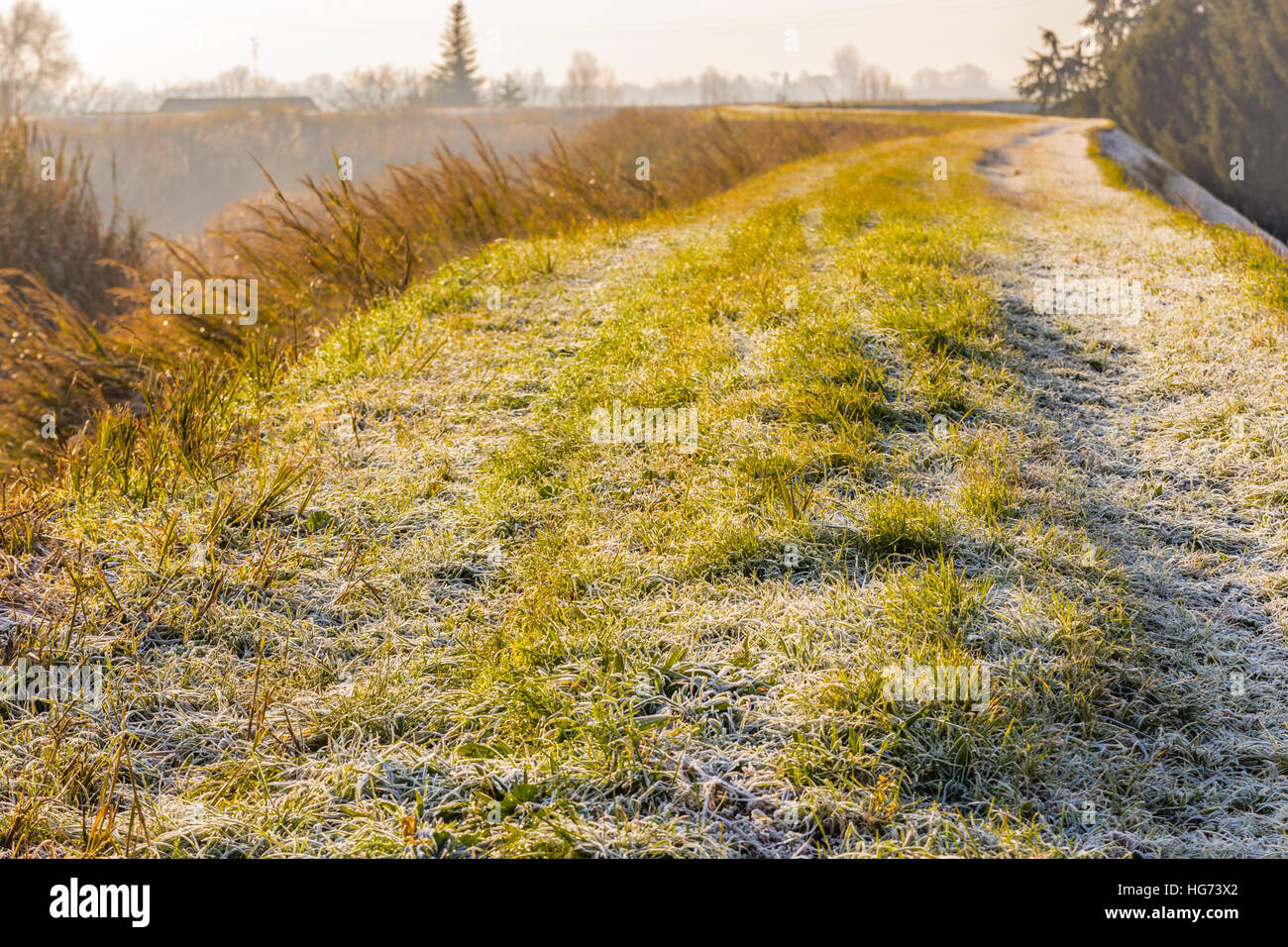 sunny day on icy pathway along frozen fields in cold winter in Italy ...