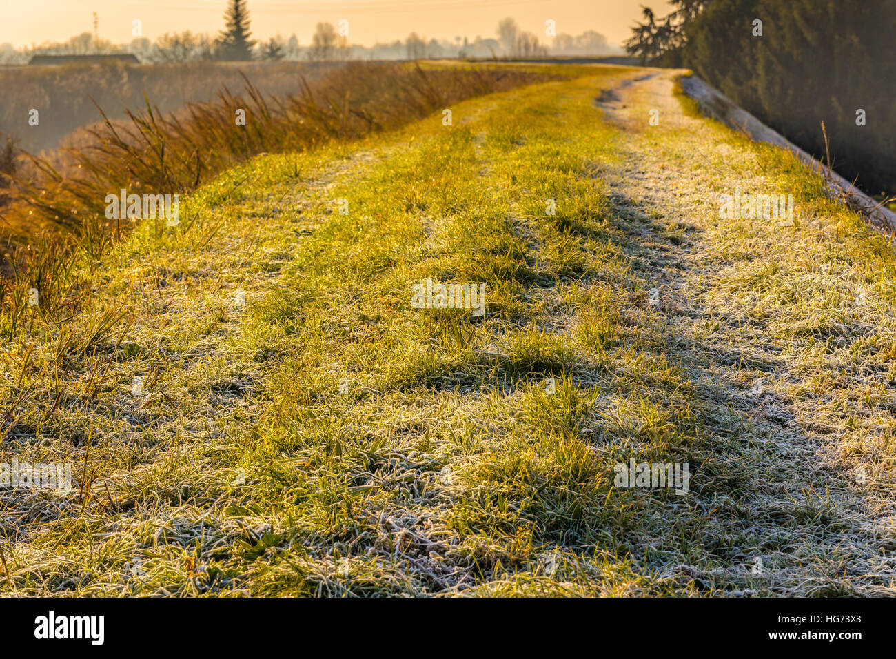 sunny day on icy pathway along frozen fields in cold winter in Italy ...