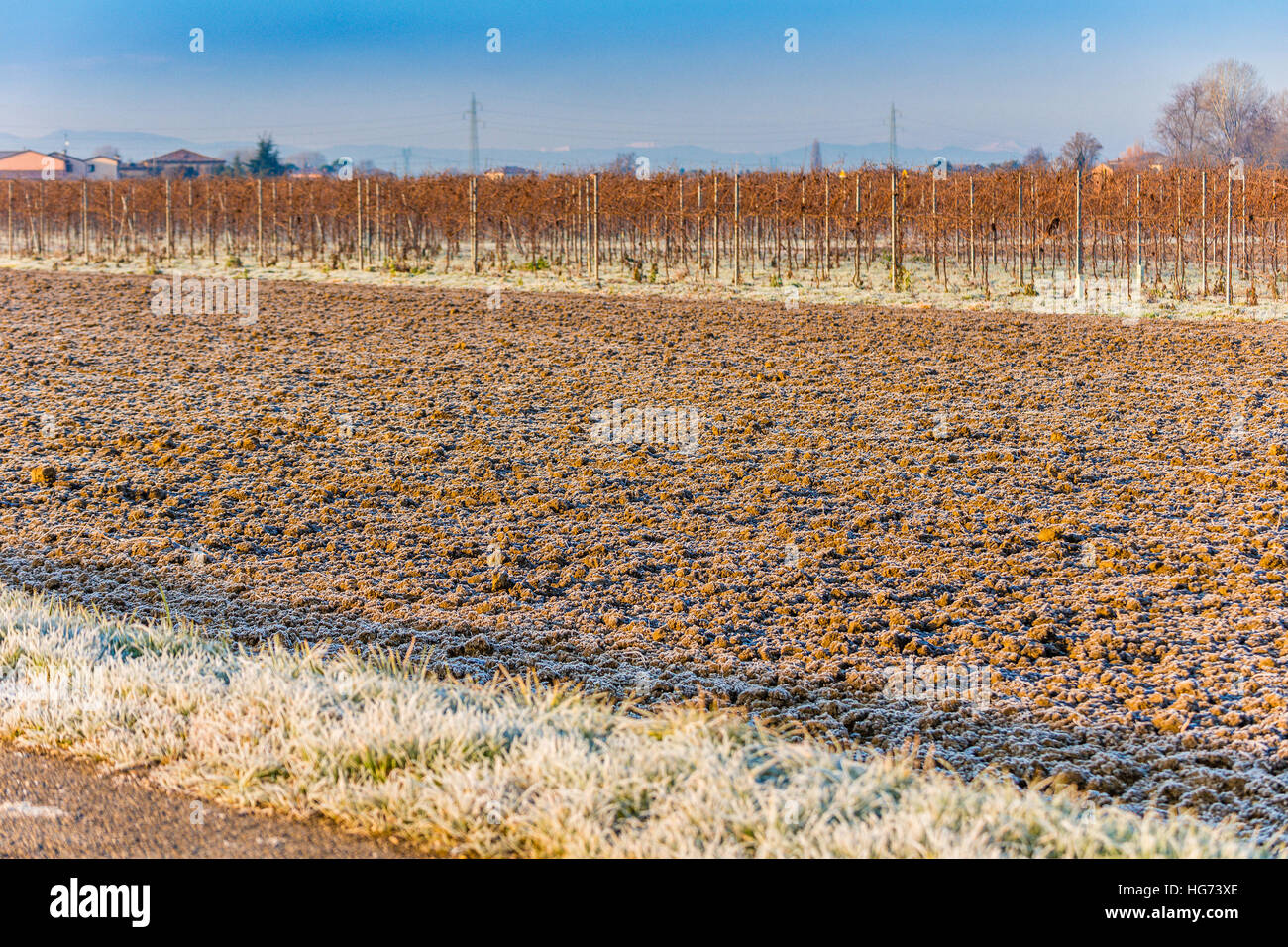 sunny day on frozen fields in cold winter in Italy Stock Photo - Alamy