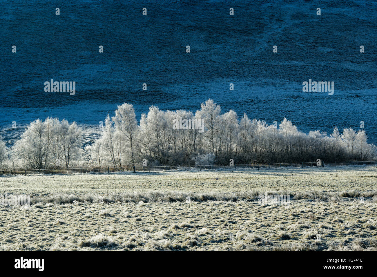 Frost line hi-res stock photography and images - Alamy