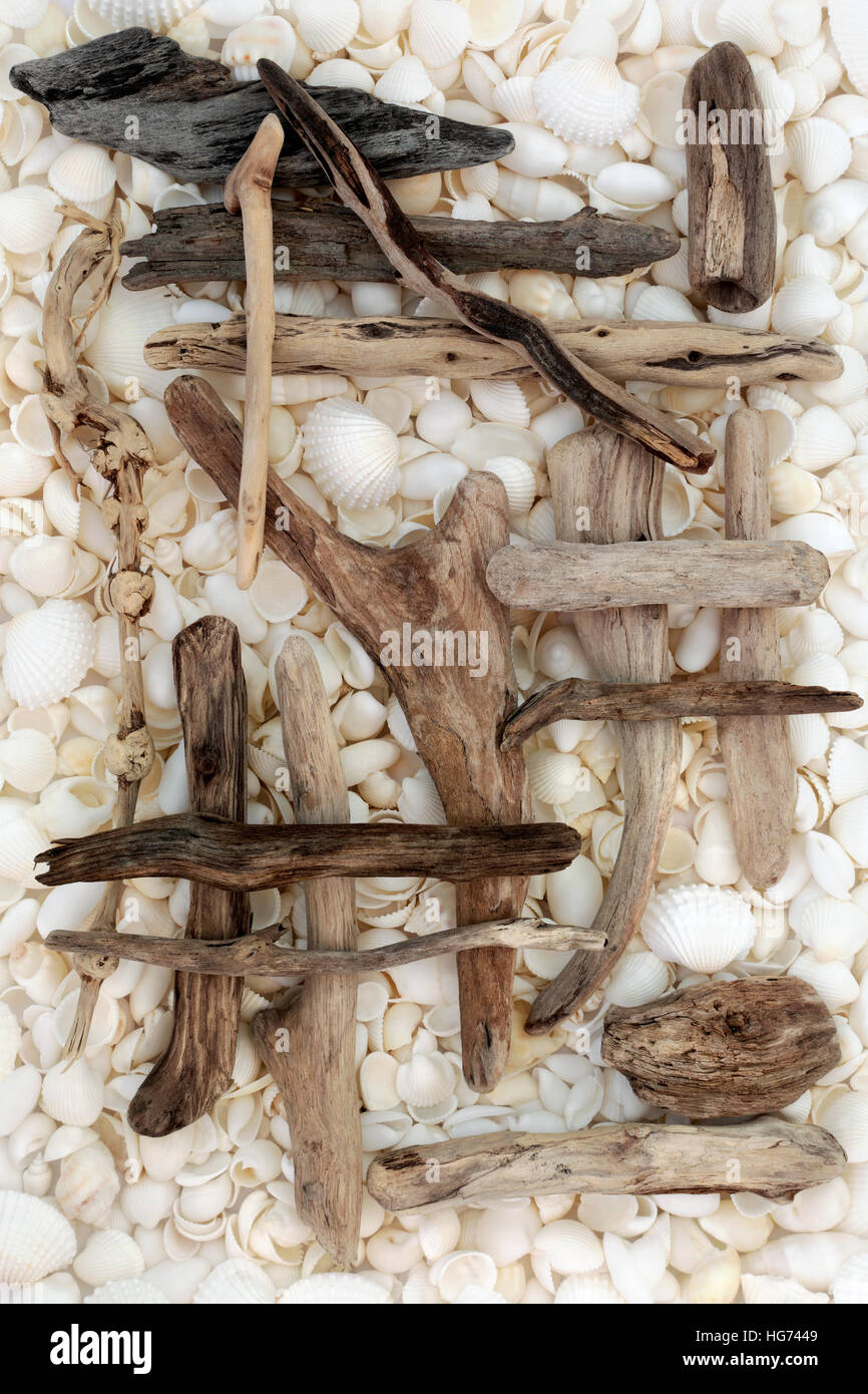 Driftwood and white seashell abstract background Stock Photo - Alamy