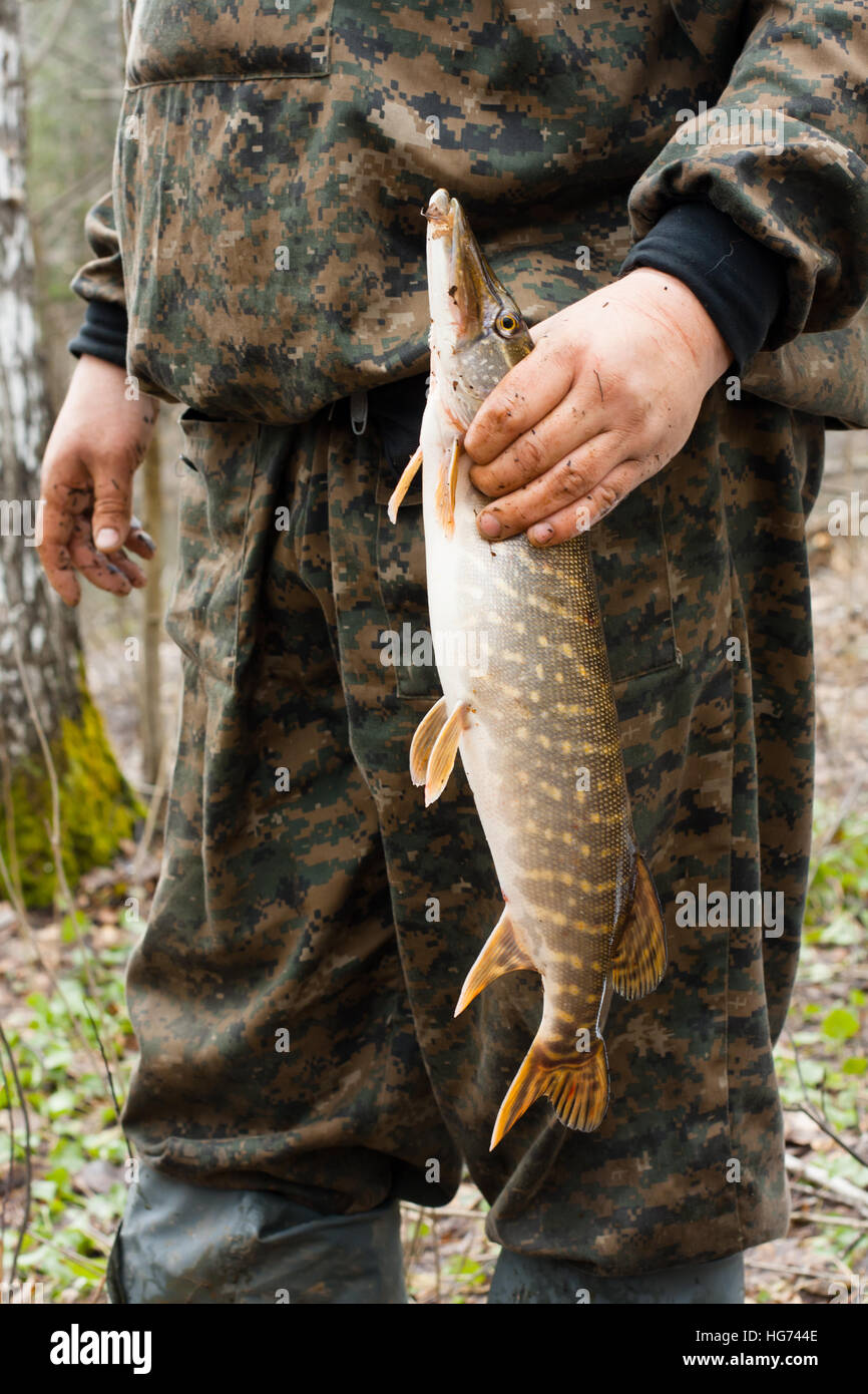 male hand holding a big pike Stock Photo - Alamy