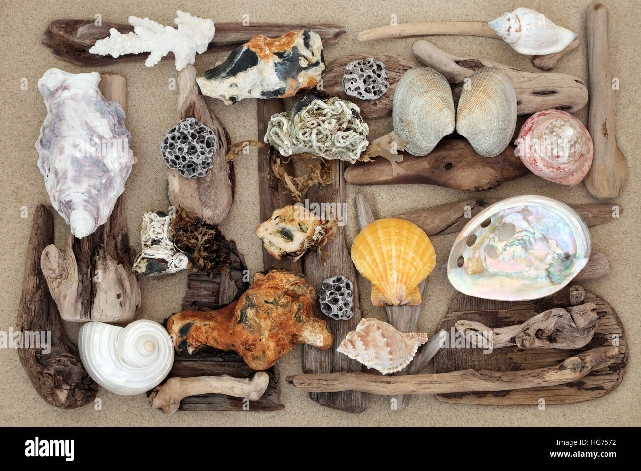 Seashell, driftwood and rock abstract background on sand Stock Photo ...