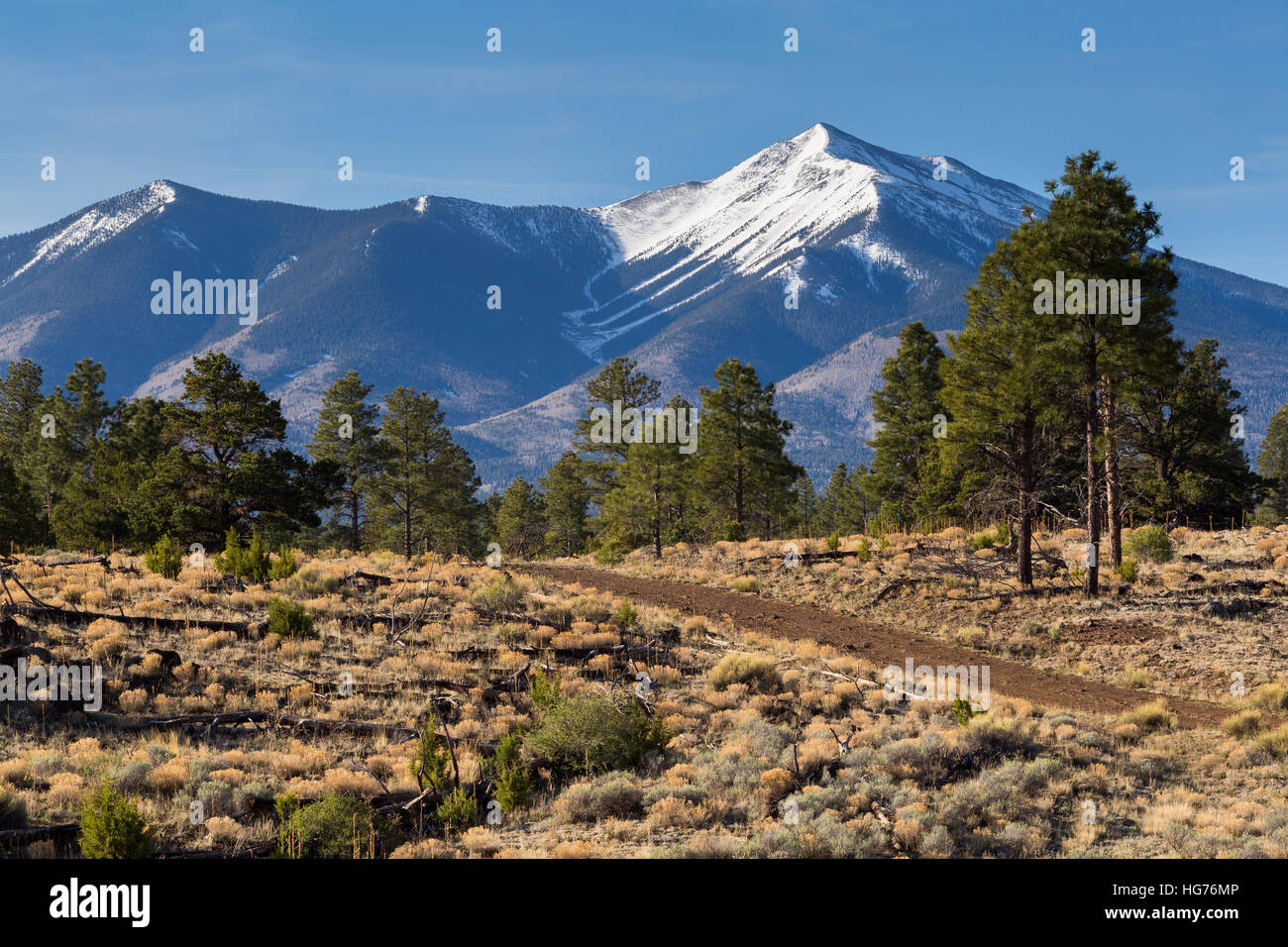 The Arizona Trail passing through pine and prairie grasslands below the ...