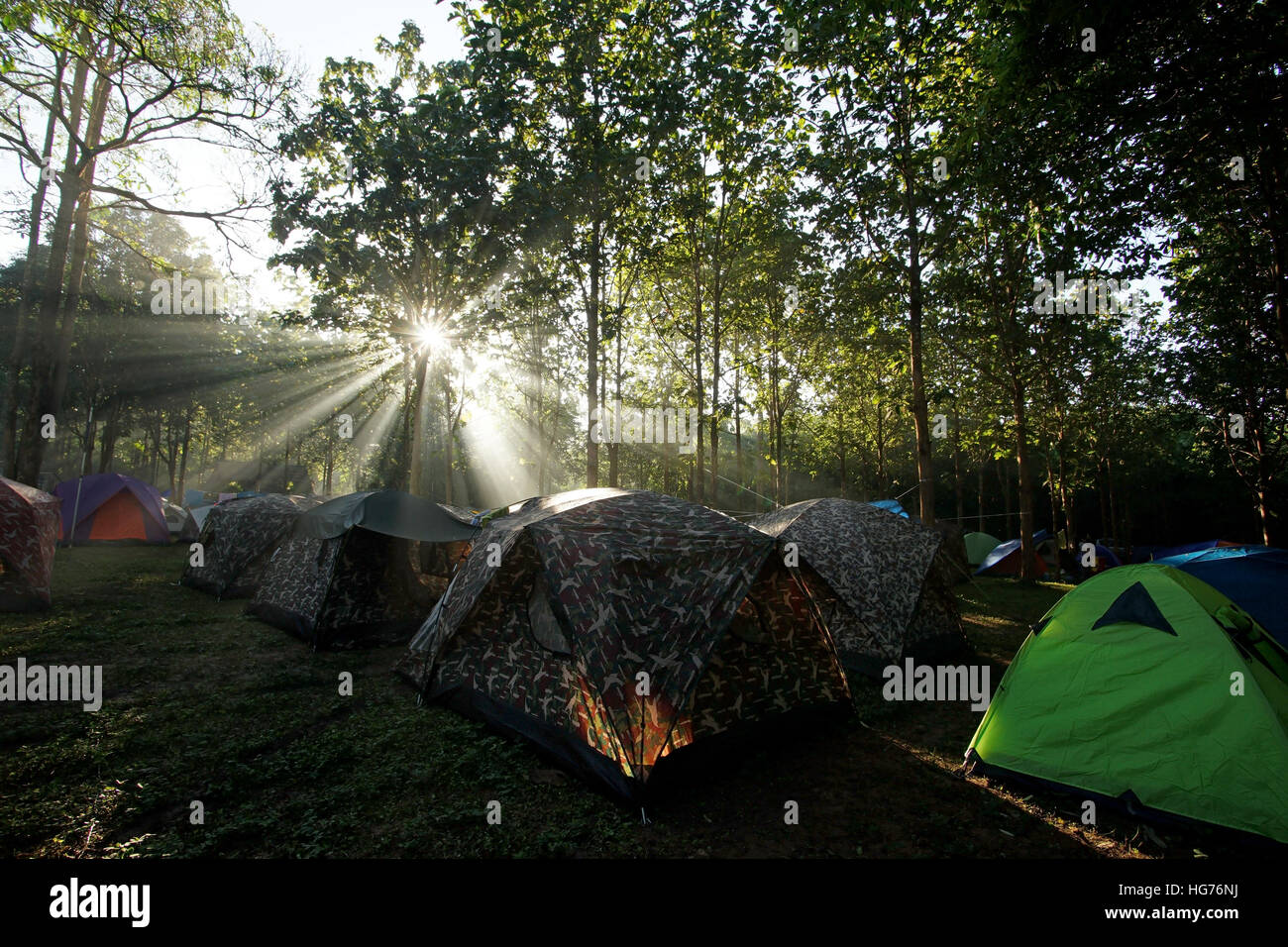 camping tents at a camp site with sunlight background Stock Photo - Alamy