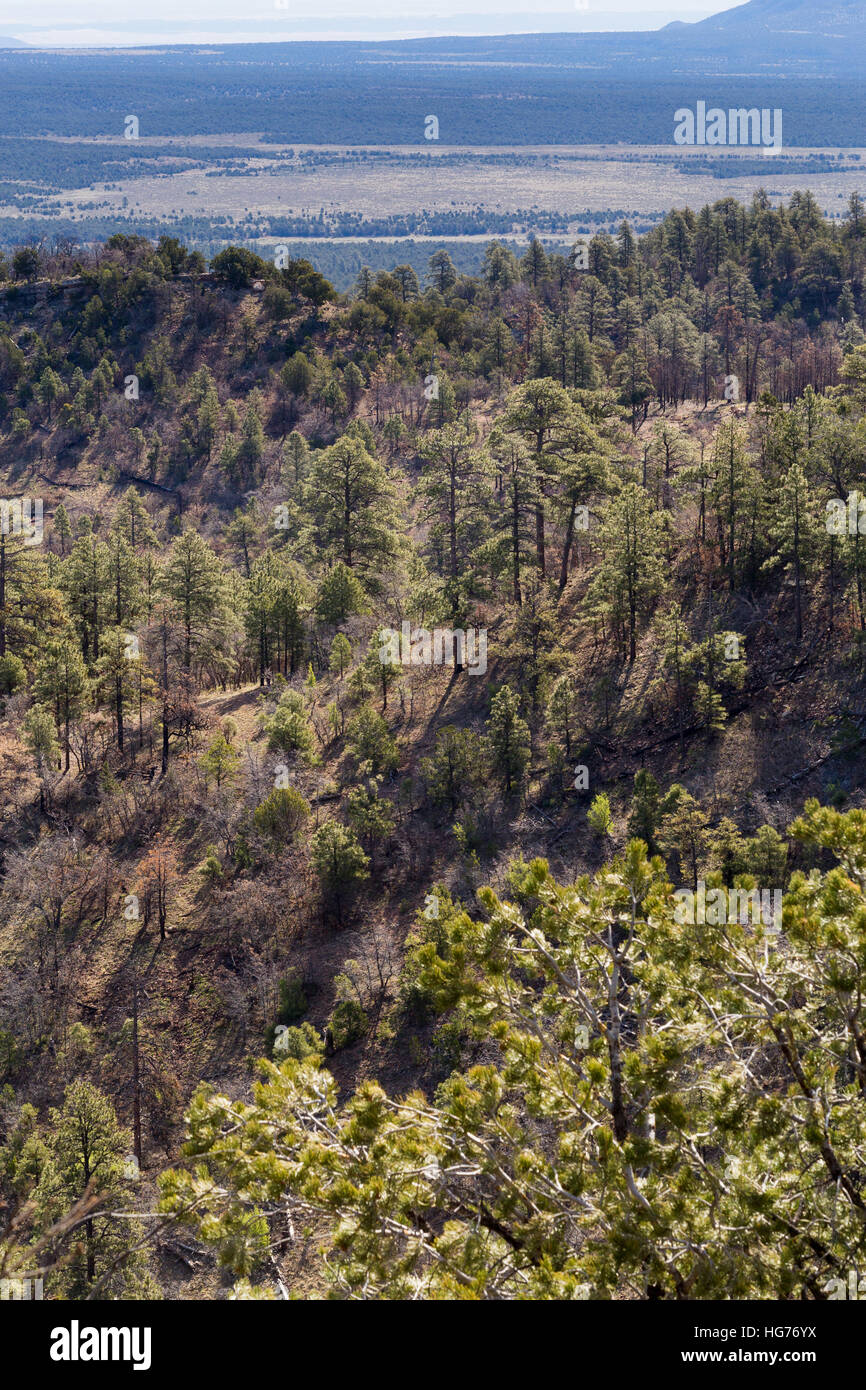 An overlook along the Coconino Rim extending far below near the Grand ...
