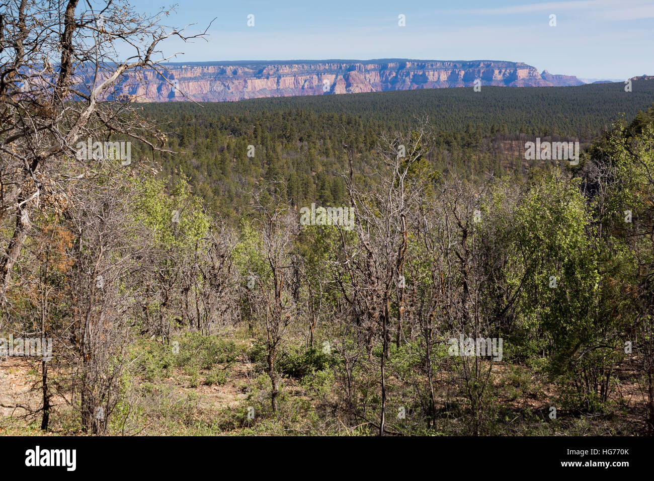 Coconino plateau hi-res stock photography and images - Alamy