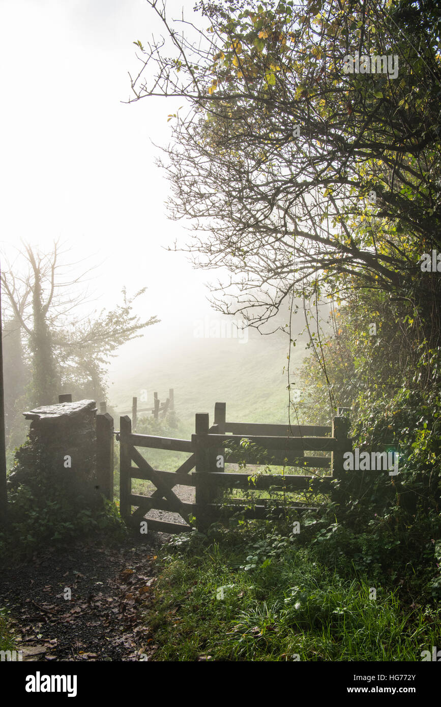Atmospheric autumnal English countryside with a misty path, wooden gate ...
