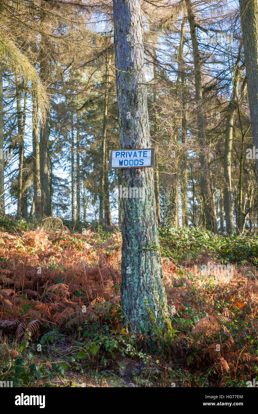 Private property sign forest hi-res stock photography and images - Alamy