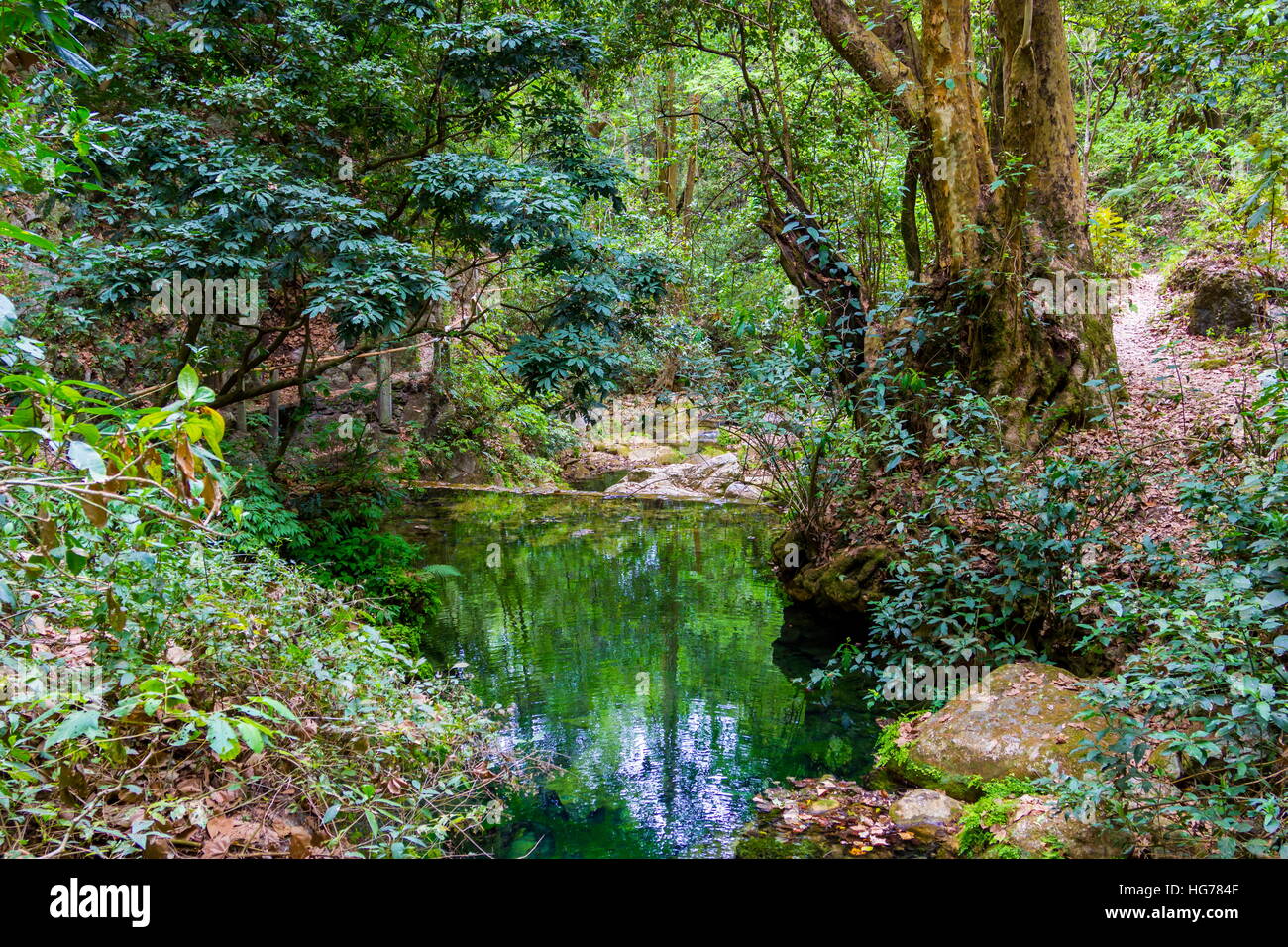 Chuveje waterfalls in Queretaro Mexico Stock Photo - Alamy