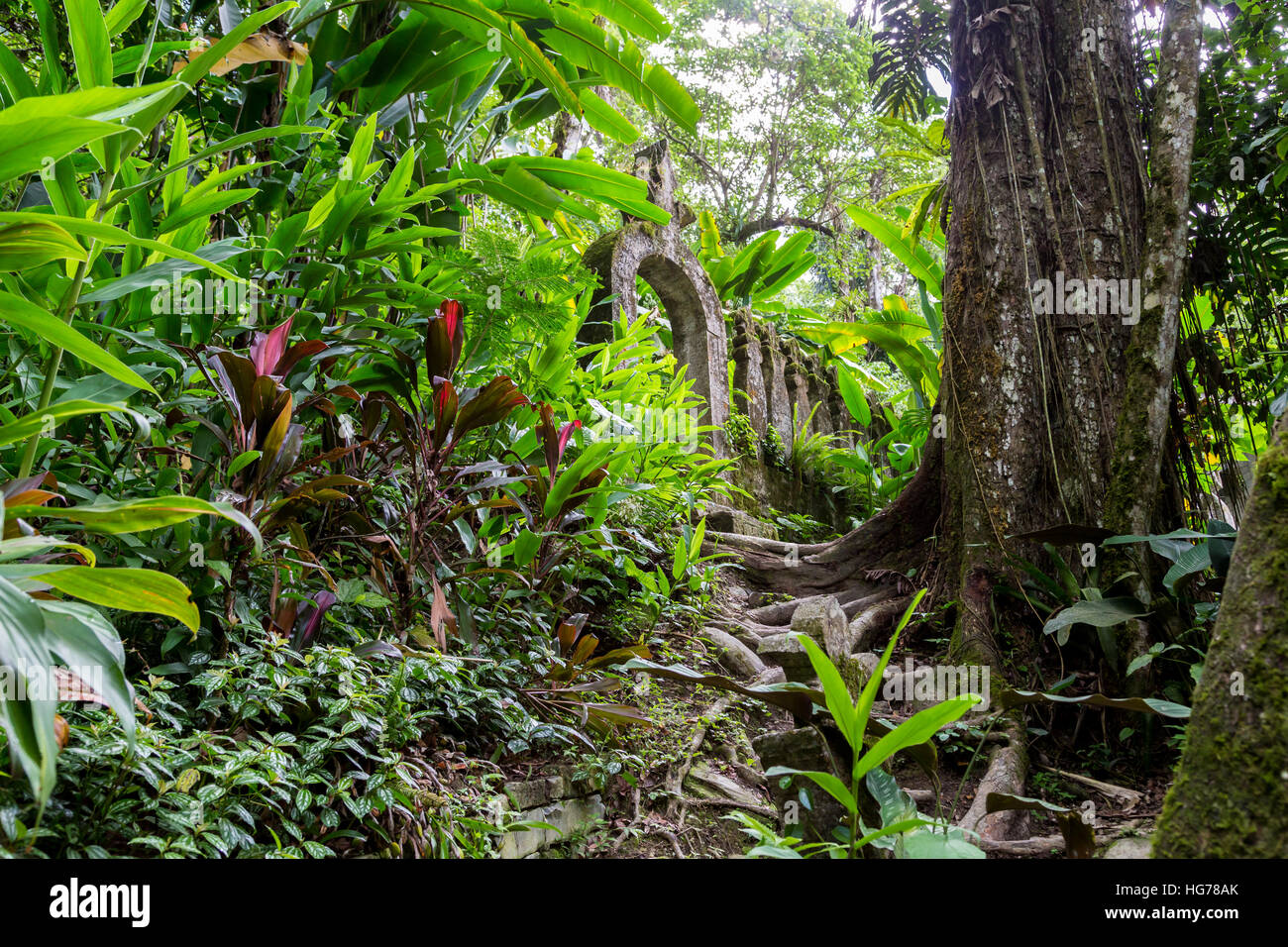 Chuveje waterfall mexico hi-res stock photography and images - Alamy