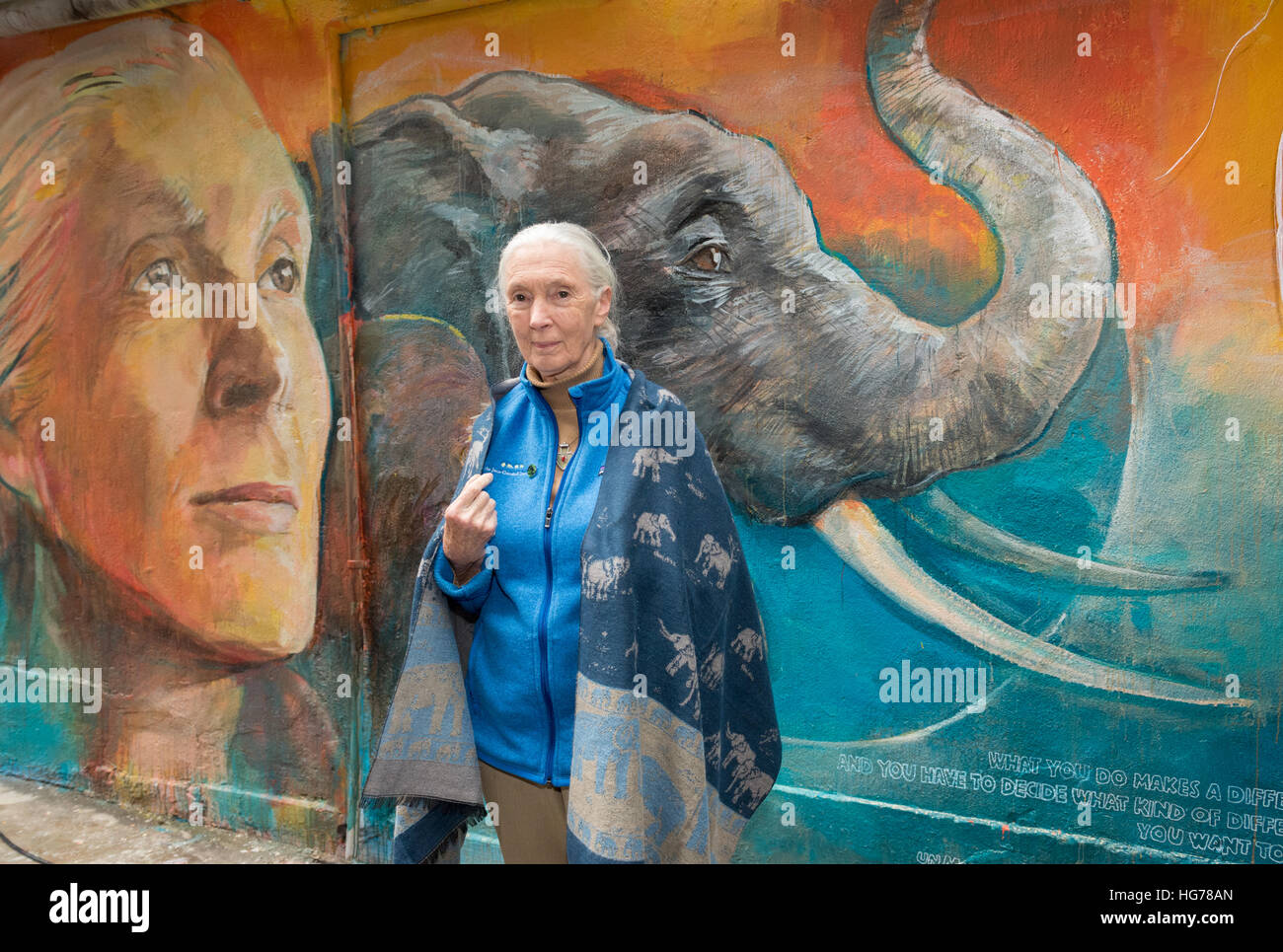 Conservationist Dame Dr Jane Goodall, unveils a wall painting by local ...