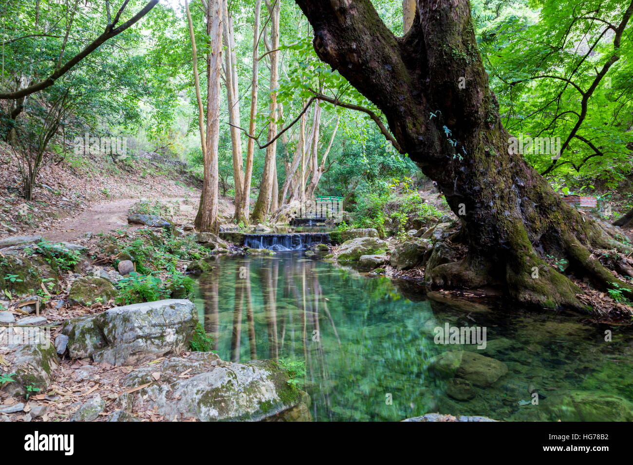 Chuveje waterfalls in Queretaro Mexico Stock Photo - Alamy