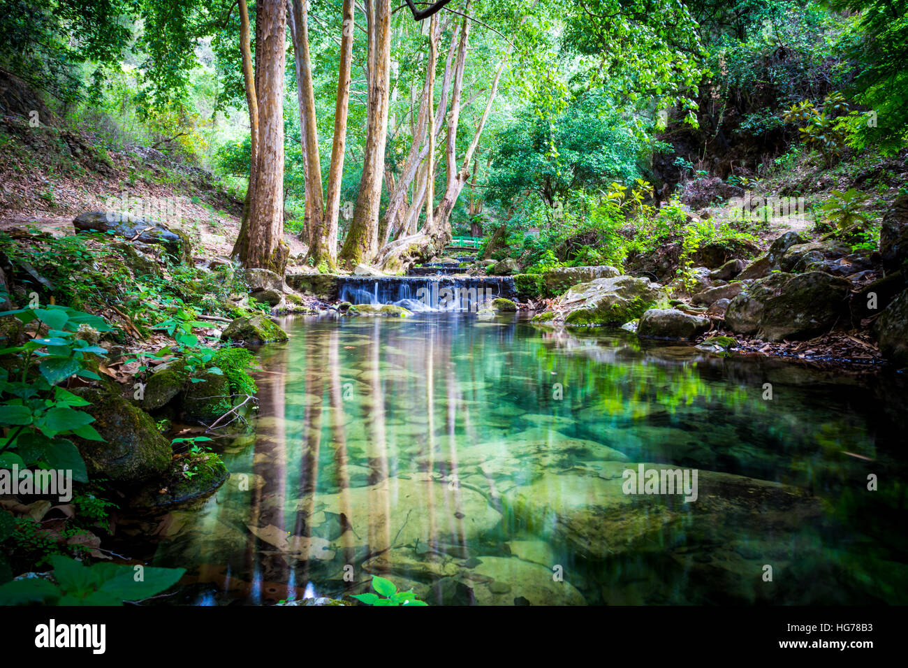 Chuveje waterfalls in Queretaro Mexico Stock Photo - Alamy
