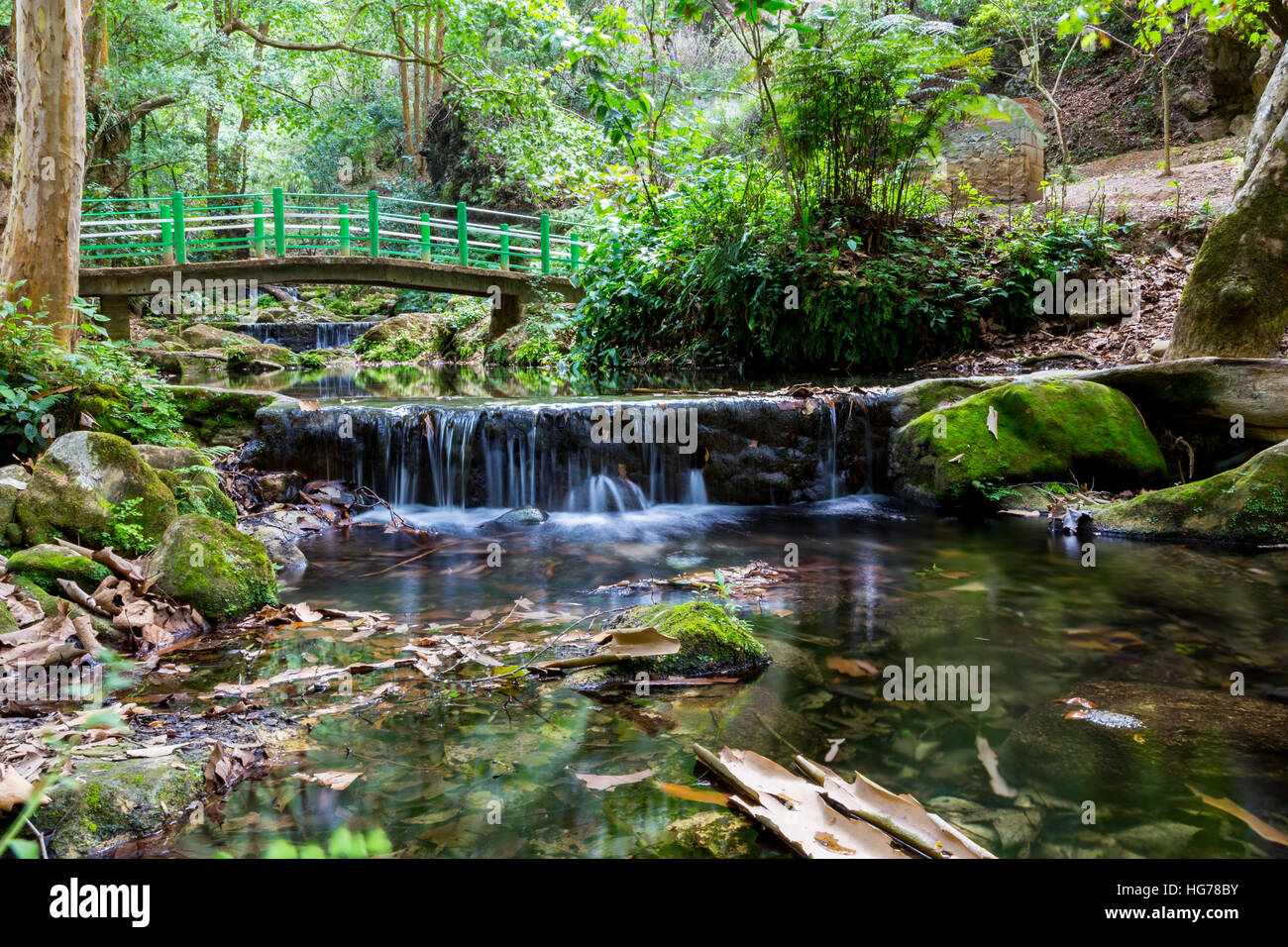 Chuveje waterfalls in Queretaro Mexico Stock Photo - Alamy