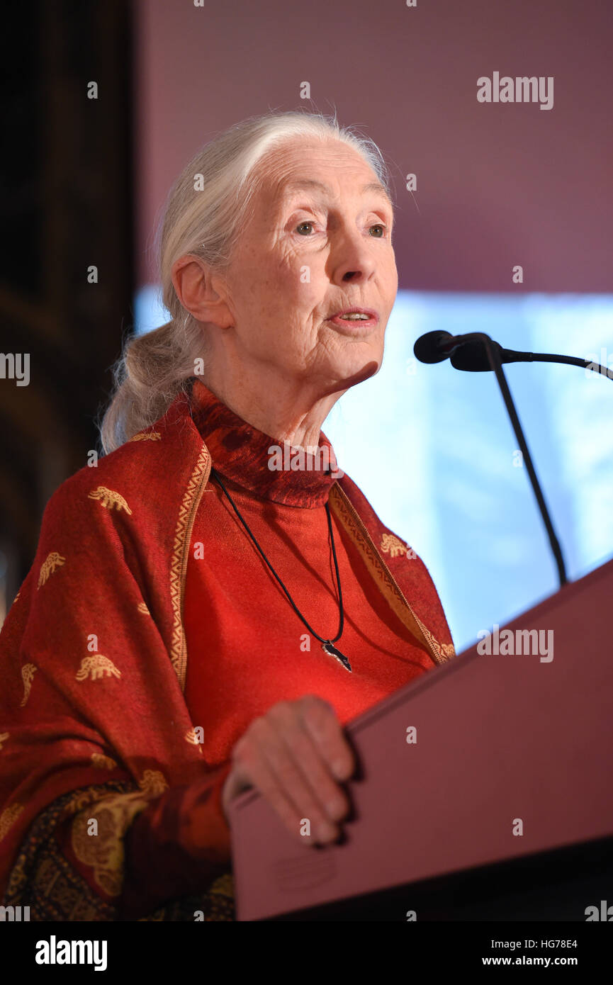 Dr jane goodall hi-res stock photography and images - Alamy