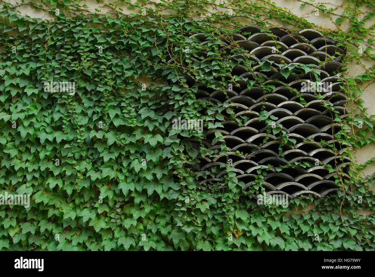 Songling pu hi-res stock photography and images - Alamy