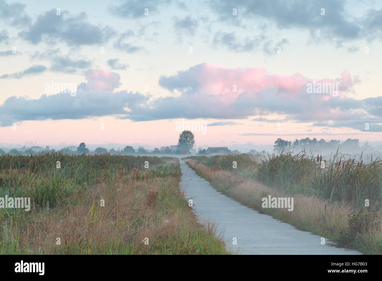 biking road in Dutch countryside at sunrise, Netherlands Stock Photo ...