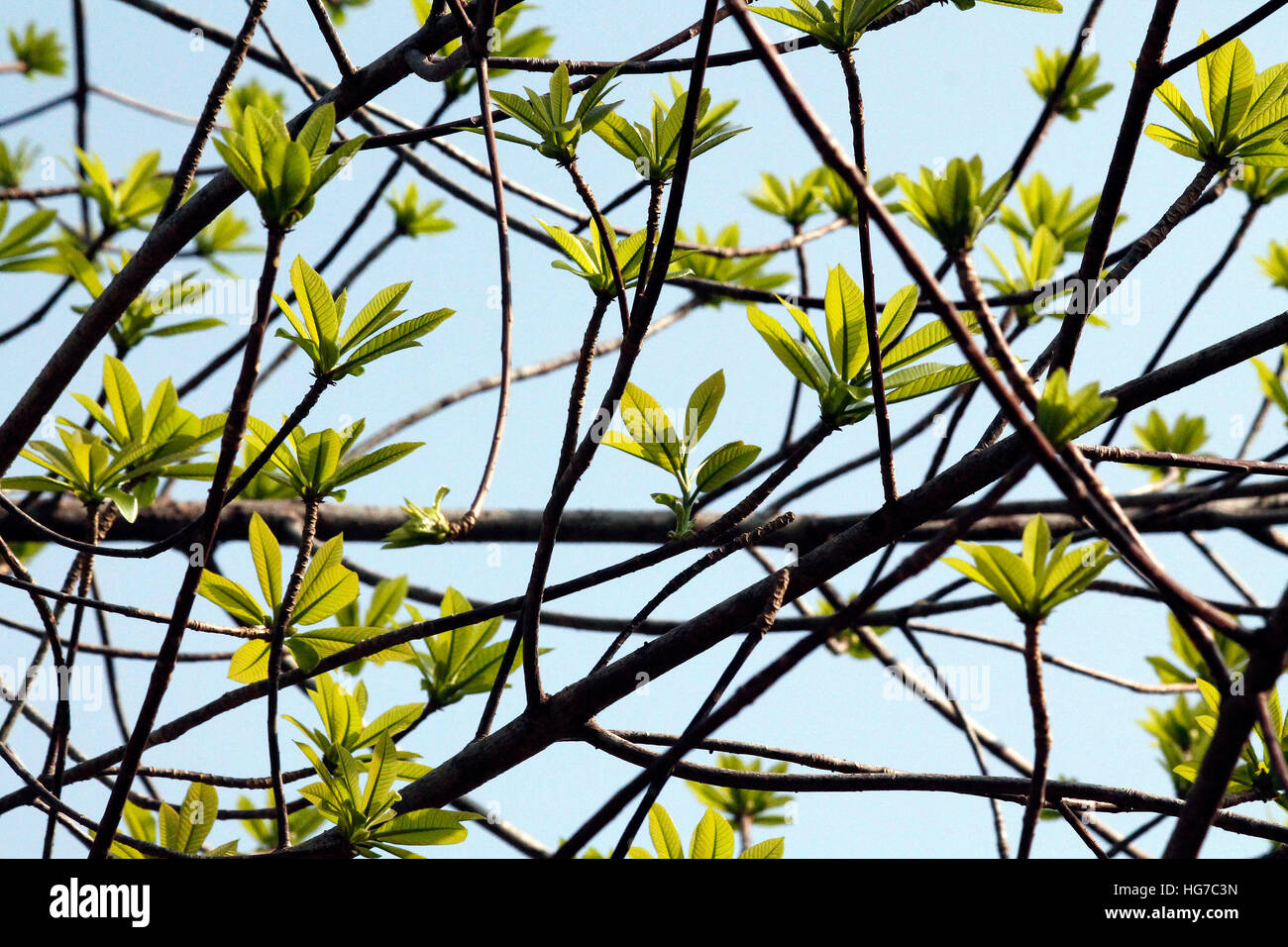 Starting it all again Stock Photo - Alamy