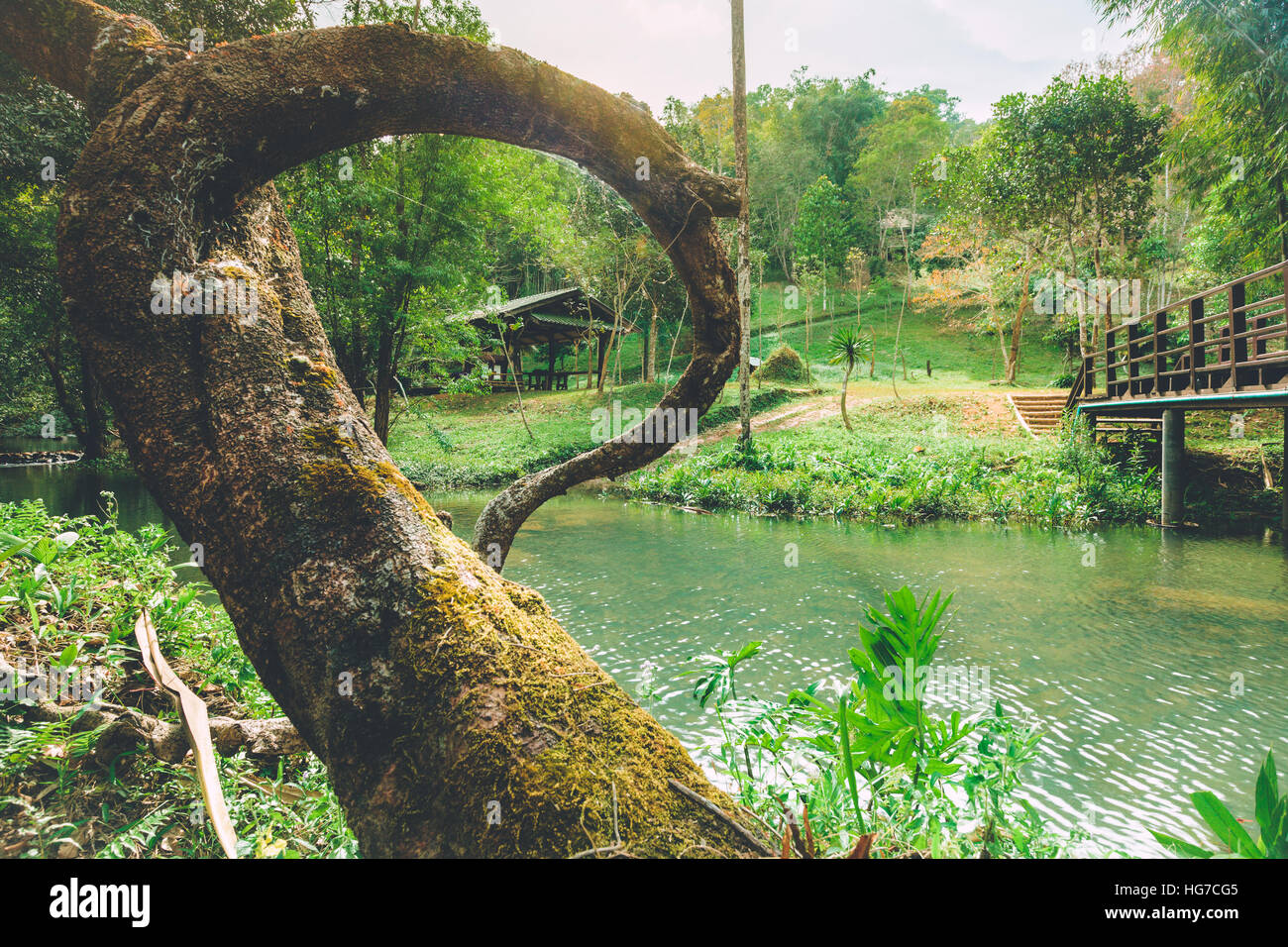 beautiful garden landscape.Nature background Stock Photo - Alamy