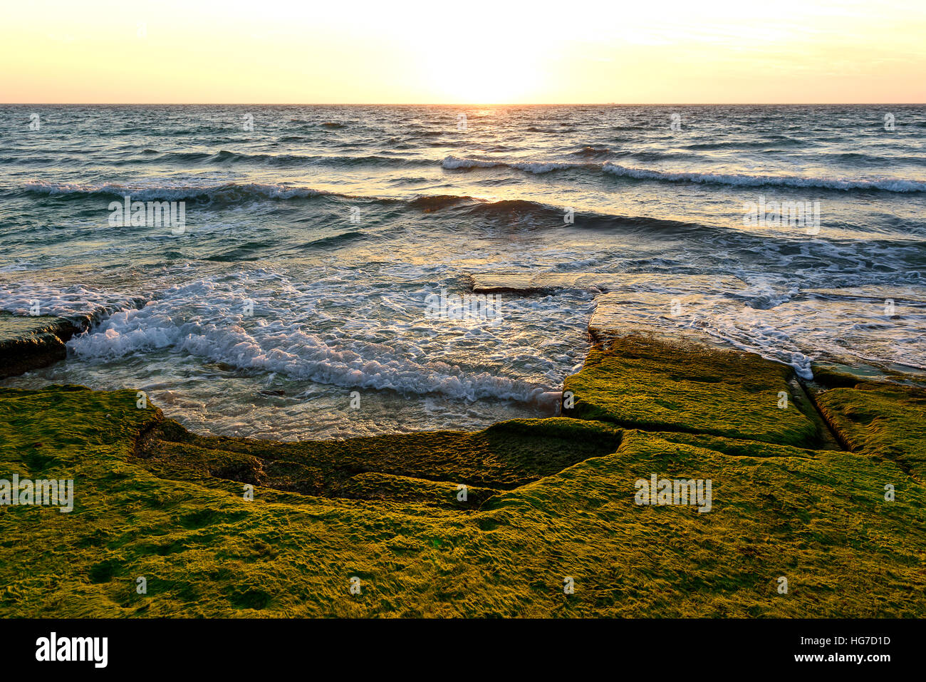 Nature of kish island hi-res stock photography and images - Alamy