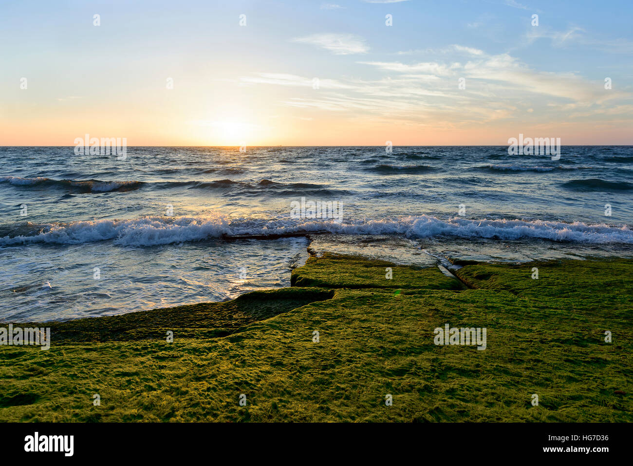 Nature of kish island hi-res stock photography and images - Alamy