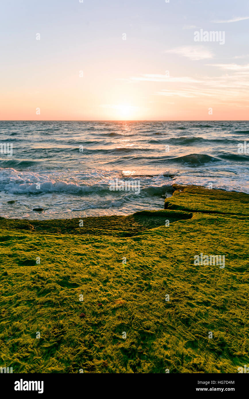 Nature of kish island hi-res stock photography and images - Alamy
