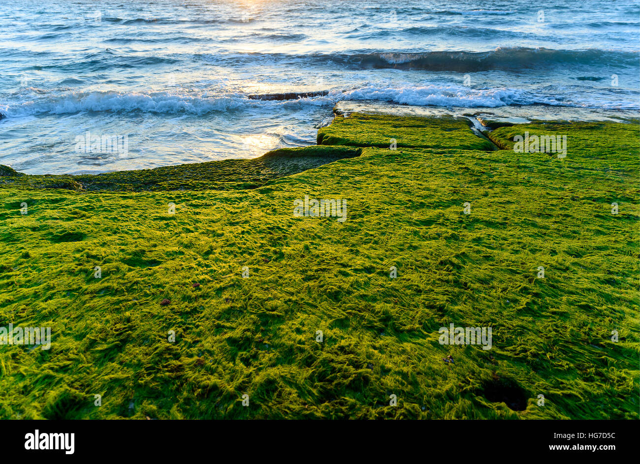 Nature of kish island hi-res stock photography and images - Alamy