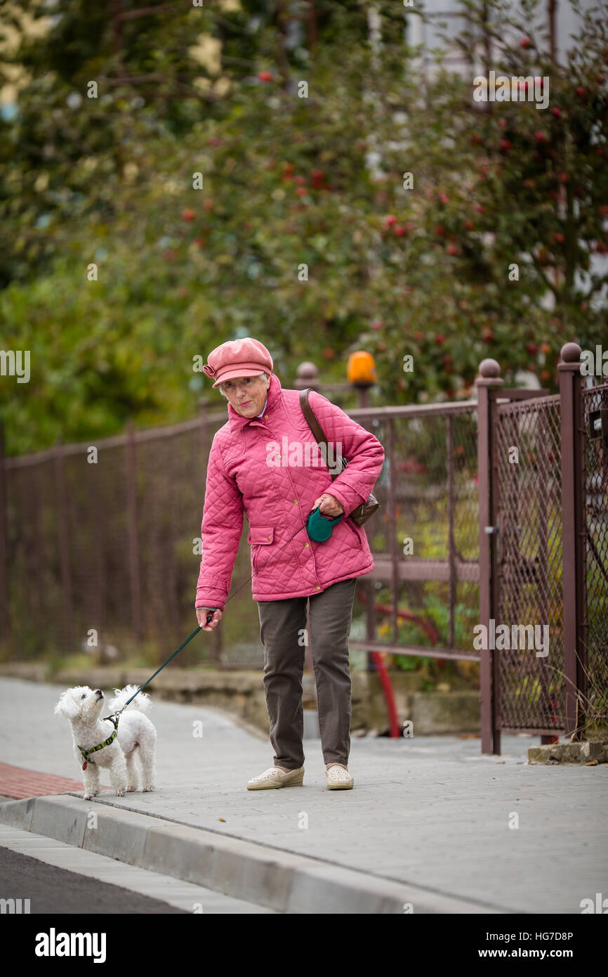 Senior woman walking her little dog on a city street; looking happy and ...