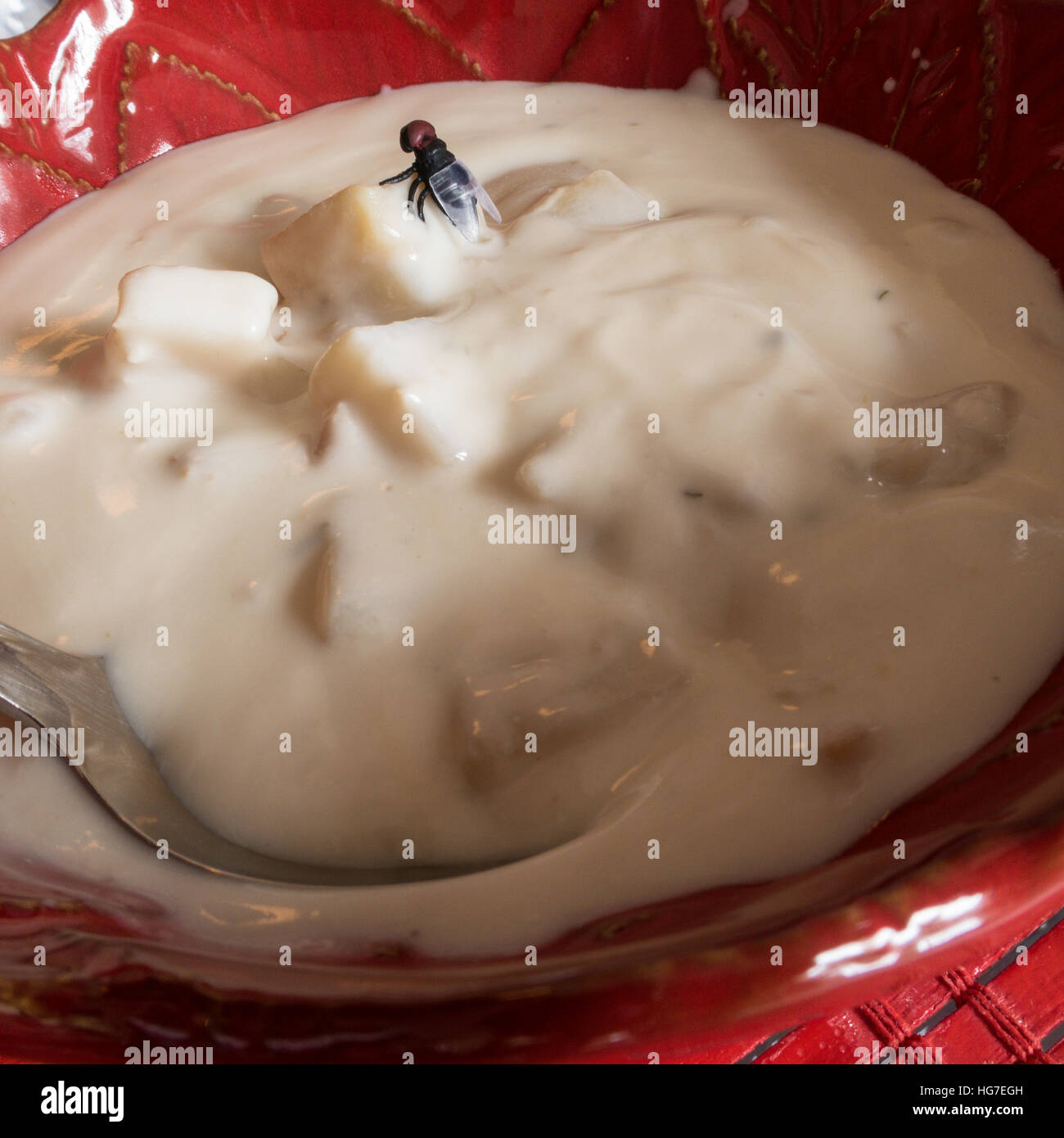 Fly Soup High Resolution Stock Photography and Images - Alamy