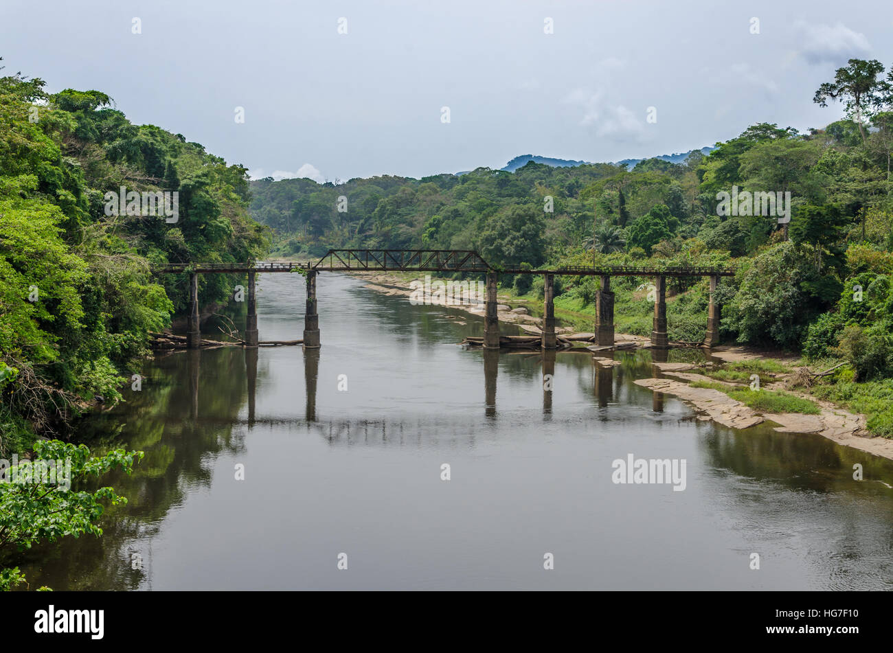 Rain rainforest bridge wood hi-res stock photography and images - Alamy