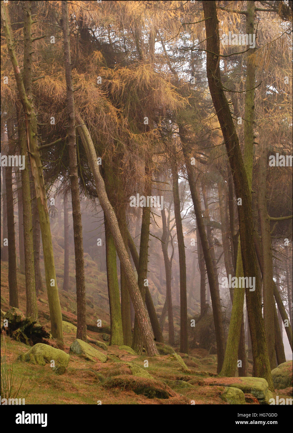 2000s UK Gary Colet Poster Stock Photo - Alamy