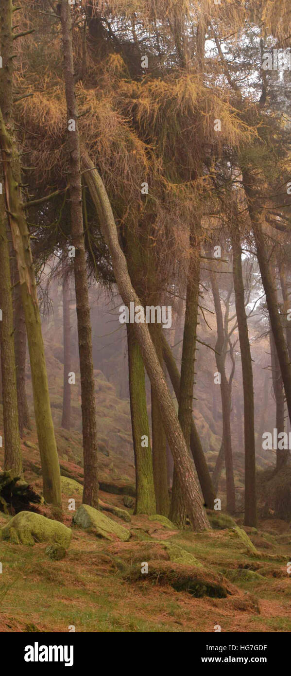 2000s UK Gary Colet Poster Stock Photo - Alamy