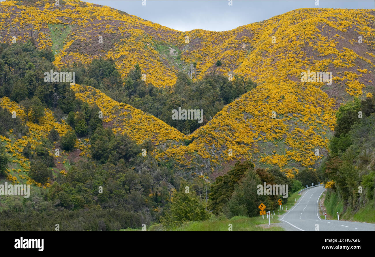 2010s New Zealand Gary Colet Poster Stock Photo - Alamy
