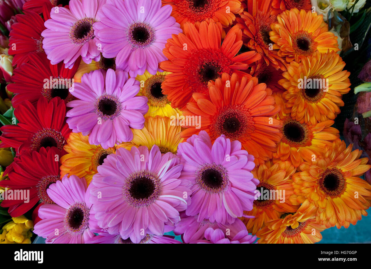 2010s Gary Colet Poster Stock Photo - Alamy